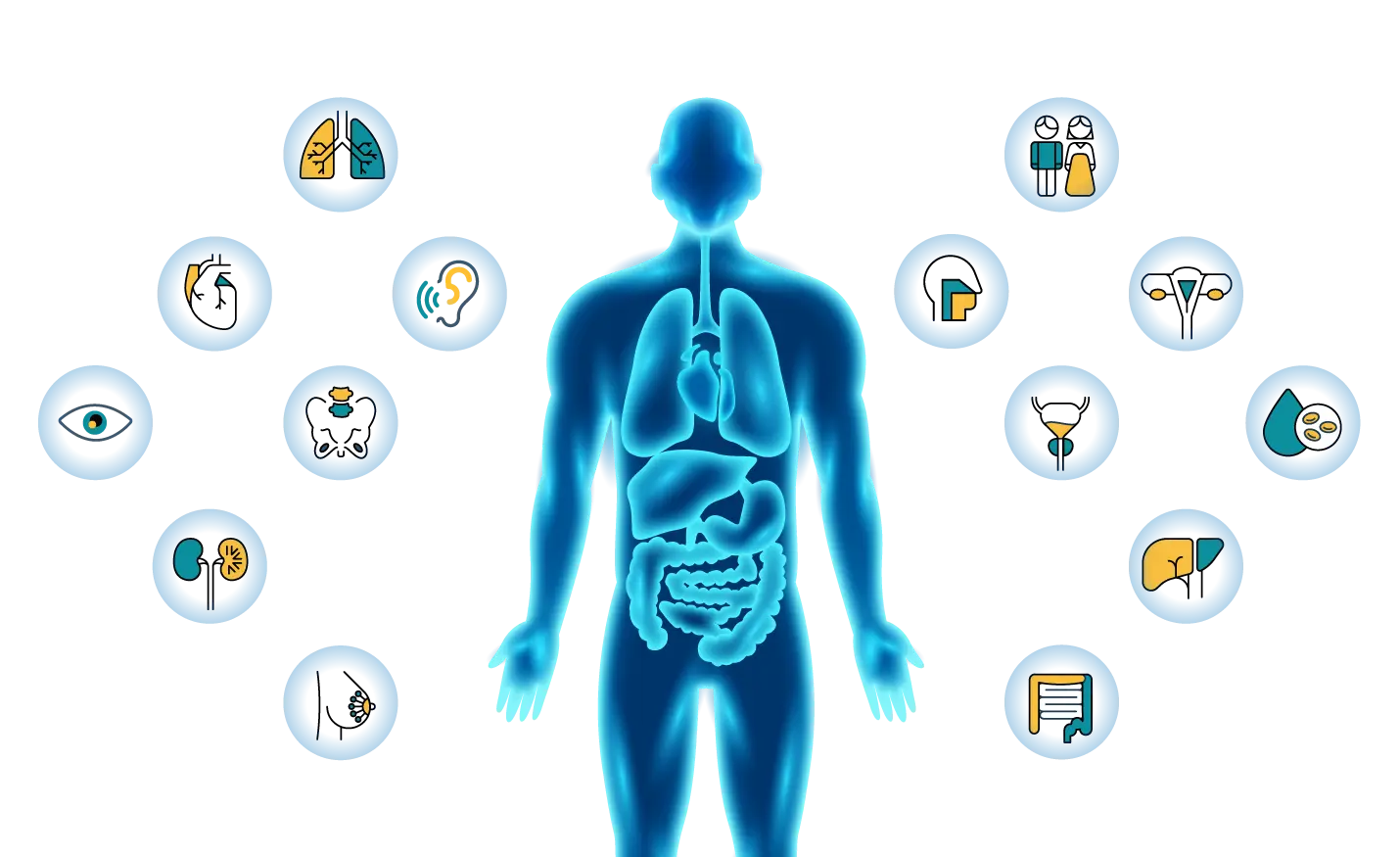 Full Body Checkup in India | NURA Ai Health Screening